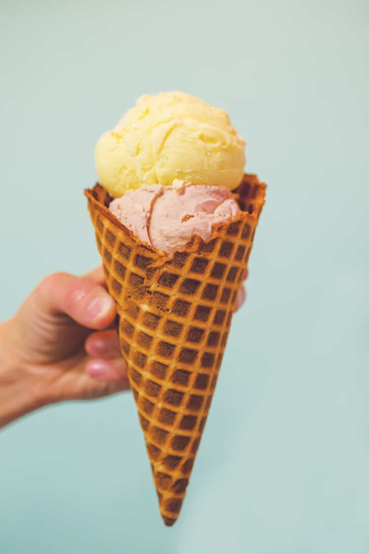 Fat Cat Icecream cone - Field of Study
